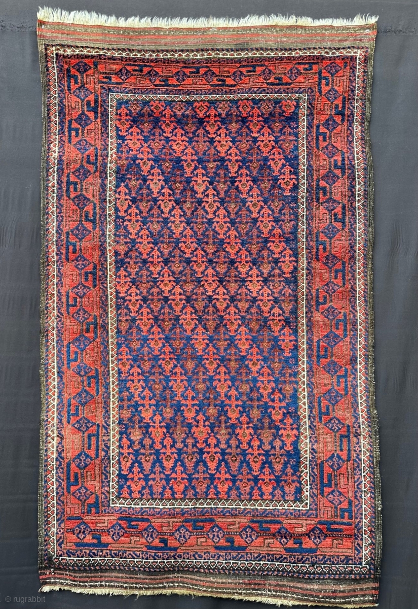 Lovely small antique Baluch rug with small overall shrub pattern on a ...
